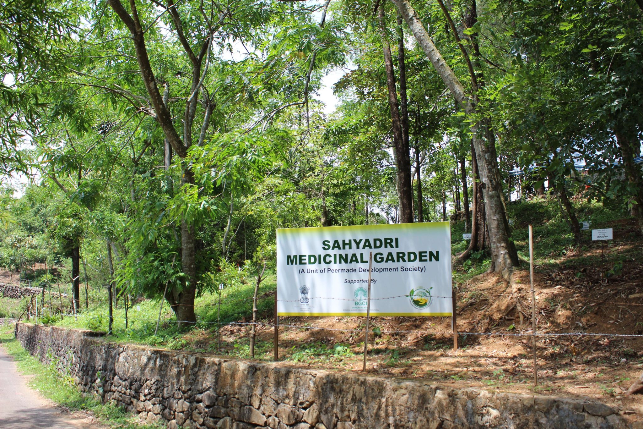 Medicinal Plant Cultivation and Home Remedies : PDS