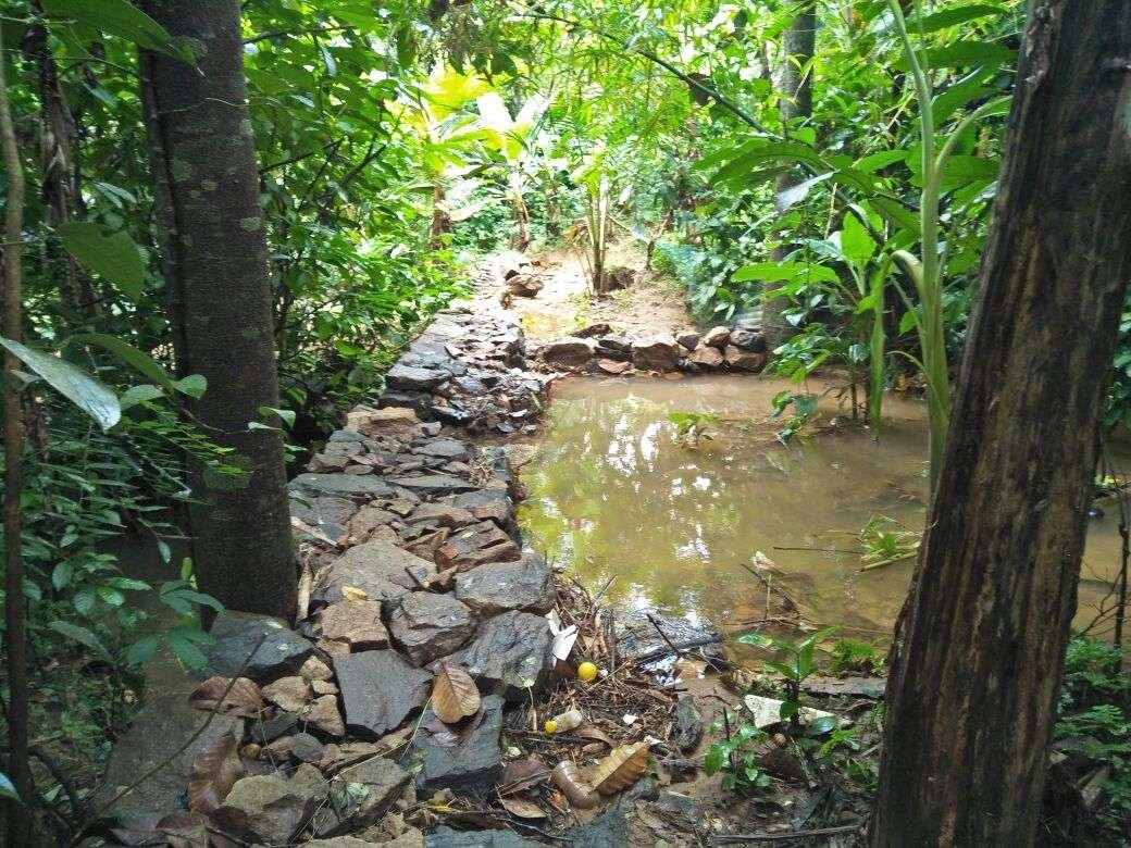 Soil and Water Conservation : PDS